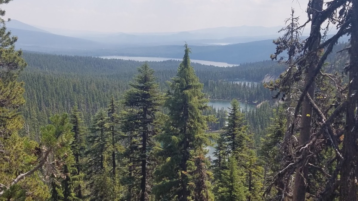 PCT Oregon – Day 19 to Bobby Lake – Environmental Communications